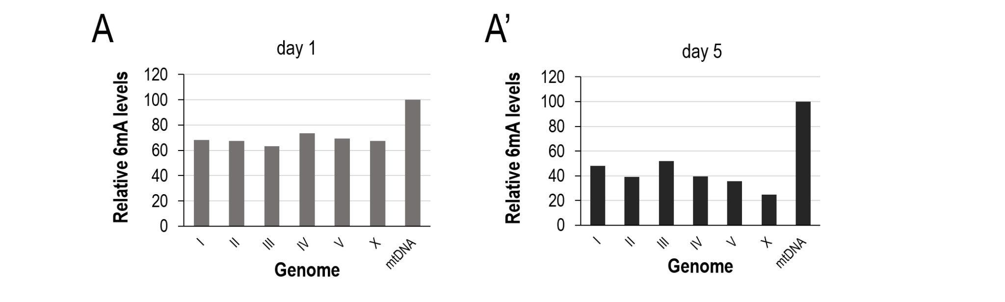 The hidden mitochondrial epigenetic clock of aging - Deepbiotech
